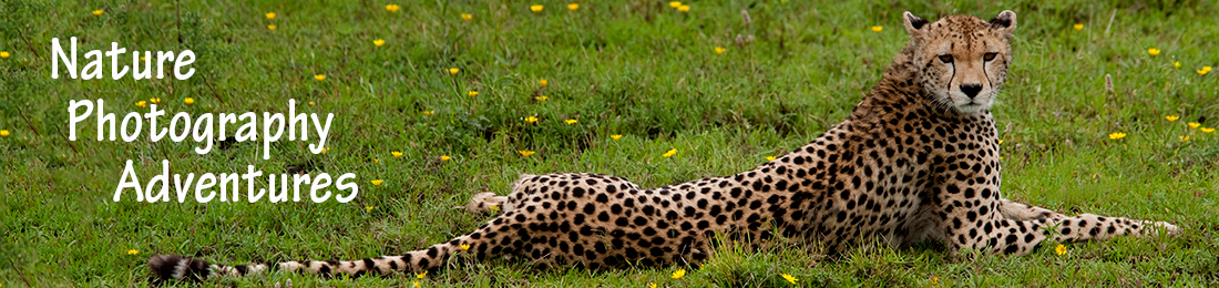 Nature Photography Adventures, Workshops and Tours by Nature ...